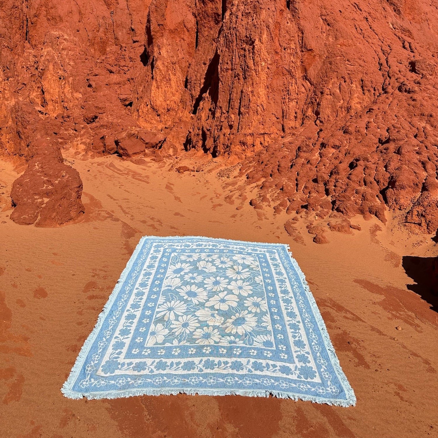 Tay X Daisy Picnic Rug (LIMITED EDITION) – Sunni Scenes
